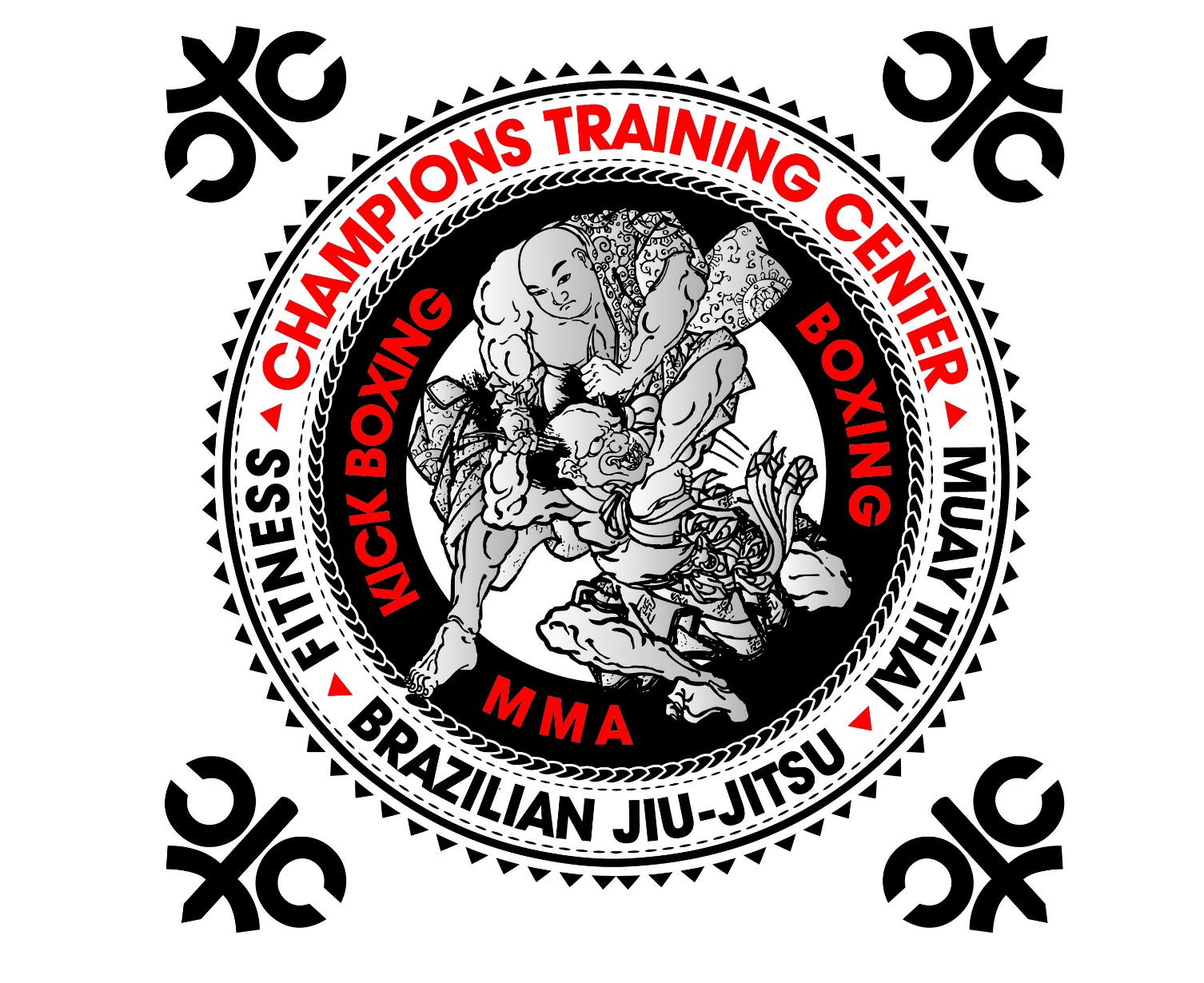 Unlock the Secrets of an Elite Combat Sports Gym – Champions Training ...
